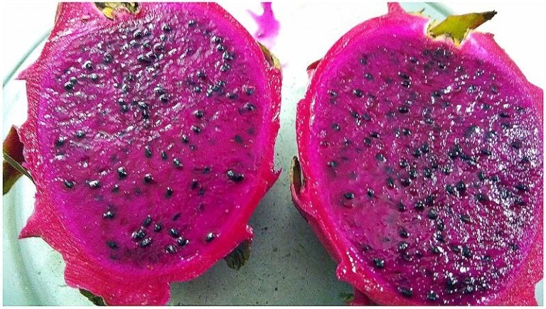 Costa Rica tropical fruit guide - Costa Rica Découverte