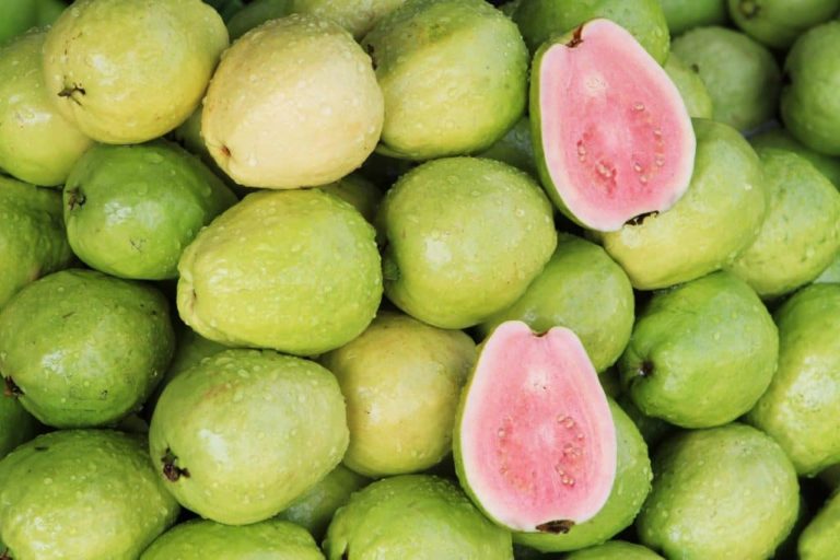 Costa Rica tropical fruit guide