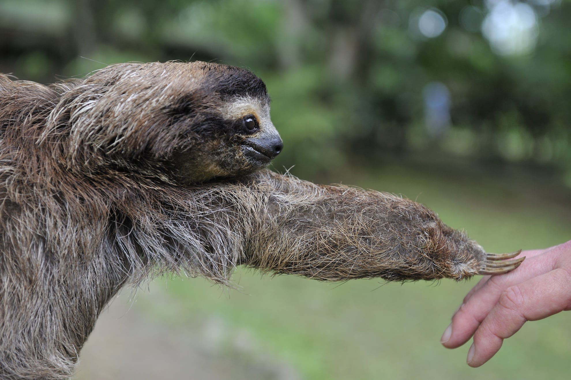 Ecotourism in Costa Rica - Costa Rica Découverte